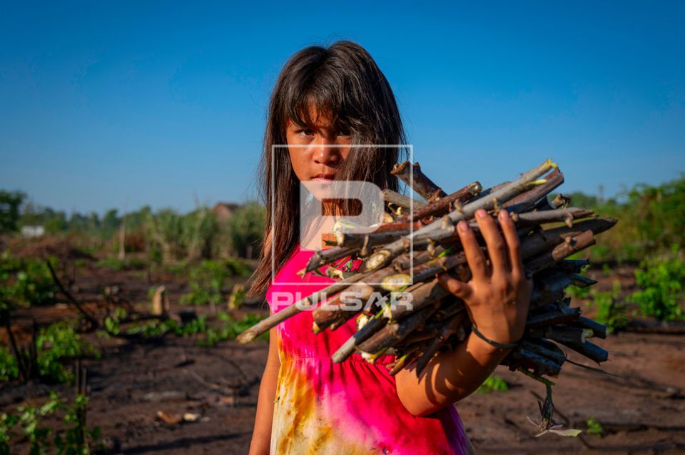 Menina indígena da etnia Wauja aldeia Topepeweke com rama de mandioca ...