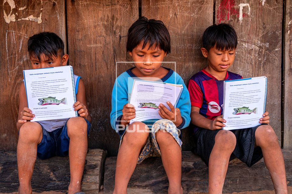 Crianças Waujá da aldeia Topepeweke lendo livros didáticos escritos por ...