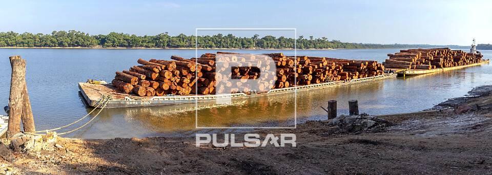 Balsa carregada toras de madeira extraídas em projeto de manejo ...