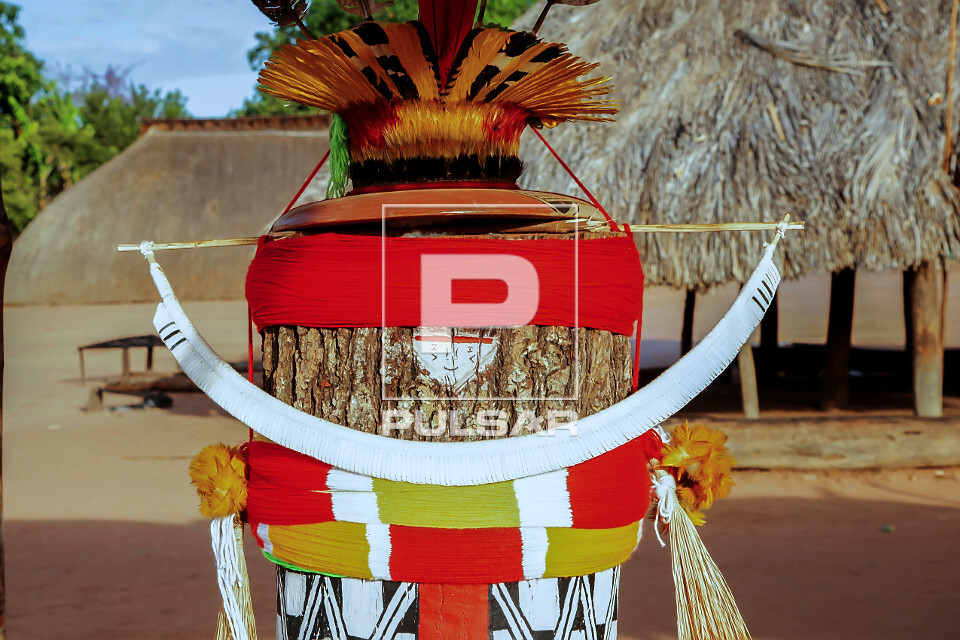 Tronco de árvore usado no Kuarup no pátio da Aldeia Uyapiyuku da etnia ...