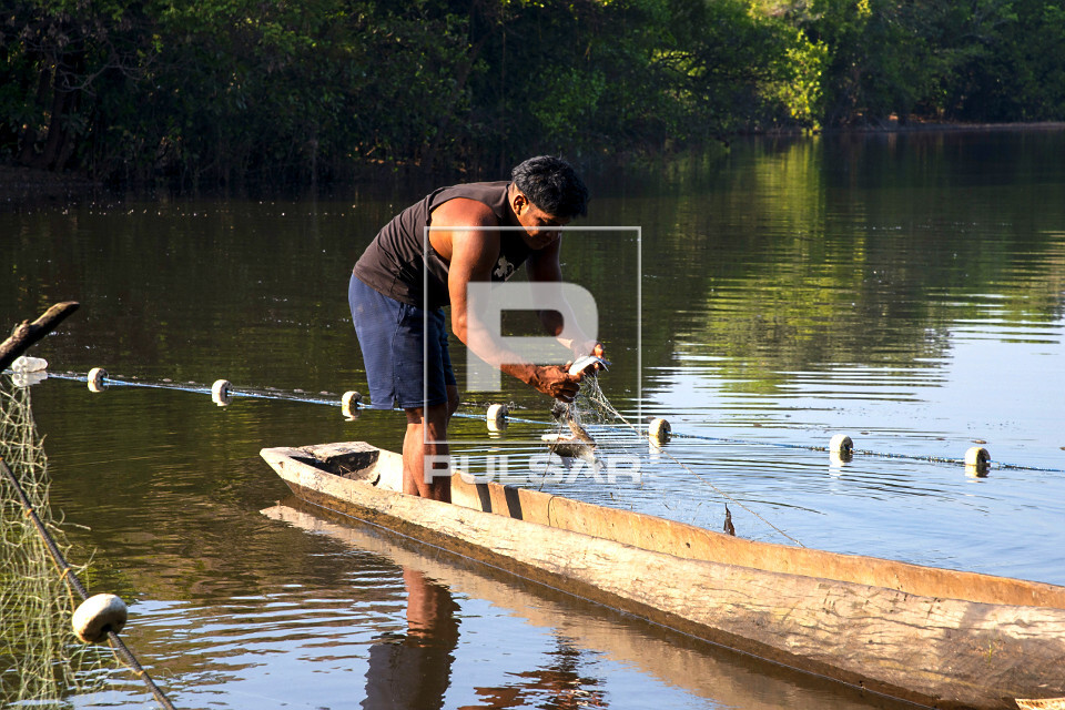 Indígena da etnia Mehinako pescando com rede de arrasto para alimentar ...