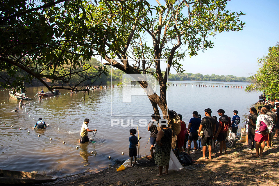 Indígenas da etnia Mehinako pescando com rede de arrasto para alimentar ...
