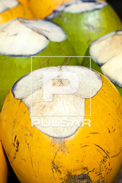 Coco amarelo e verde | Pulsar Imagens | Banco imagens do Brasil