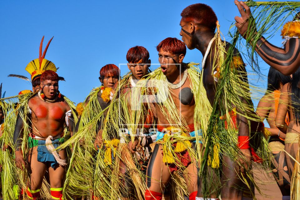 Indígenas da etnia kuikuro da aldeia Ipatse com saias de palha no ...