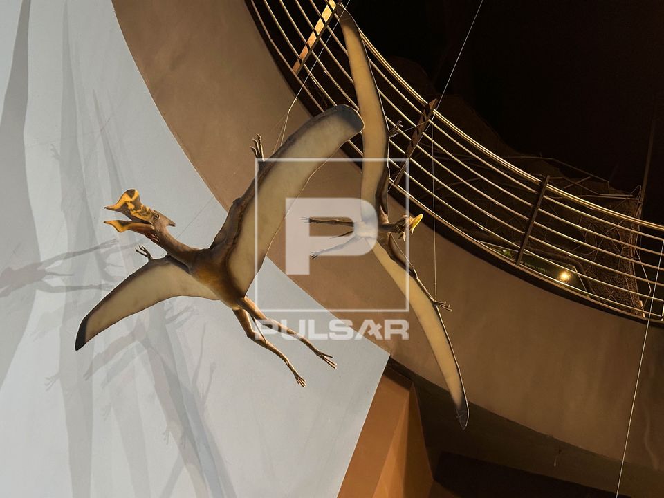 Periodo Cretaceo De Pterodactilos Voadores Quetzalcoatlus: O Maior