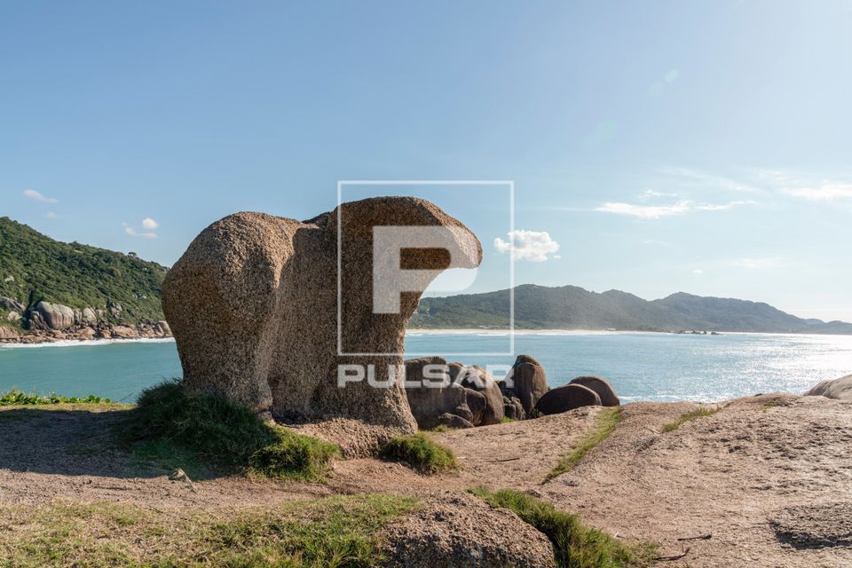 Ponta do Gravatá | Pulsar Imagens | Banco imagens do Brasil