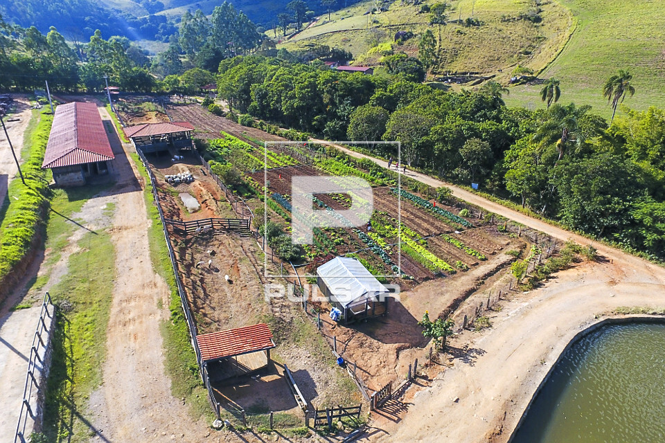 Horta Da Fazenda Foto De Banco De Imagens: Horta Na Fazenda