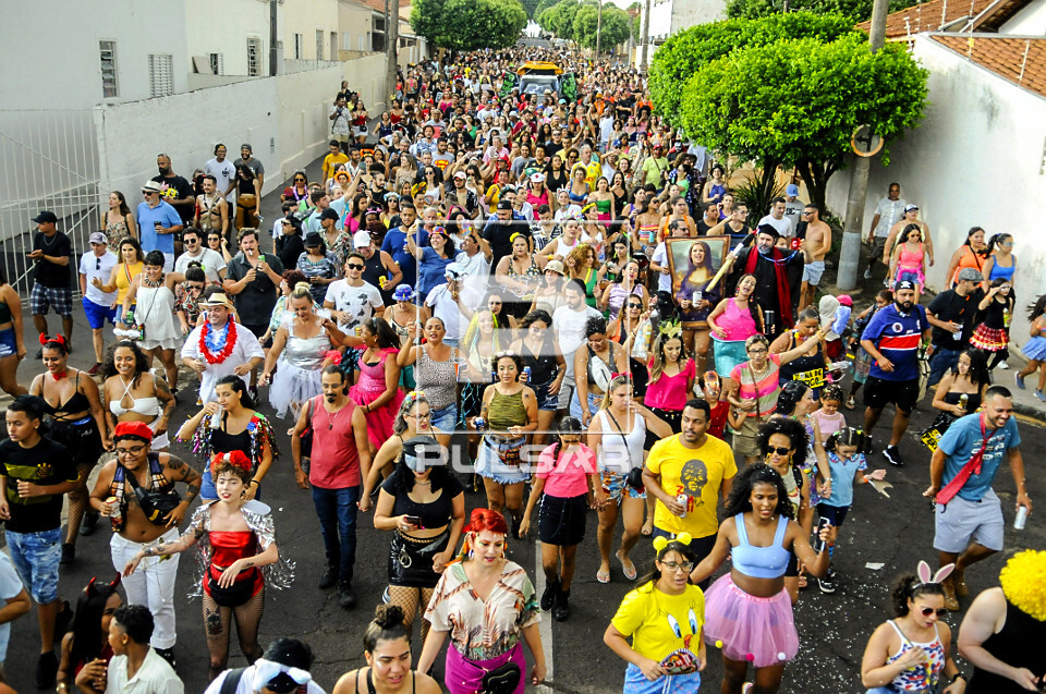 Multidão no carnaval de rua do Centro Cultural Vasco - bairro Boa Vista ...