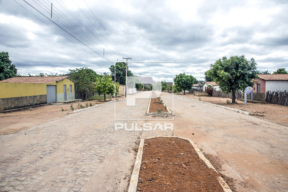 Rua com moradias no Assentamento Novo Zabele na zona rural | Pulsar ...
