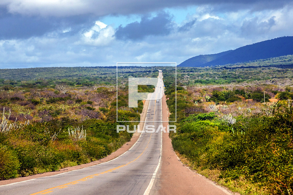 Rodovia BR-407 | Pulsar Imagens | Banco imagens do Brasil