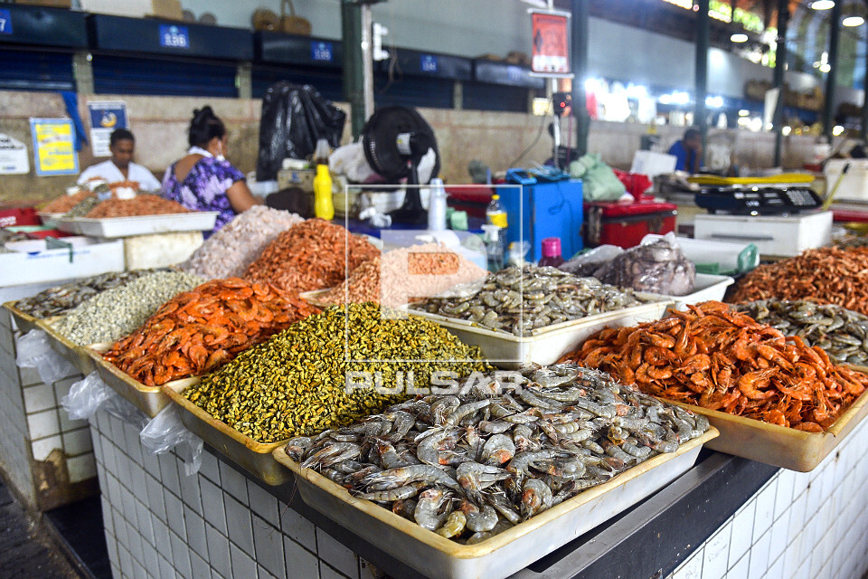 Variedade de frutos do mar à venda em box da peixaria do Mercado de São José | Pulsar Imagens ...
