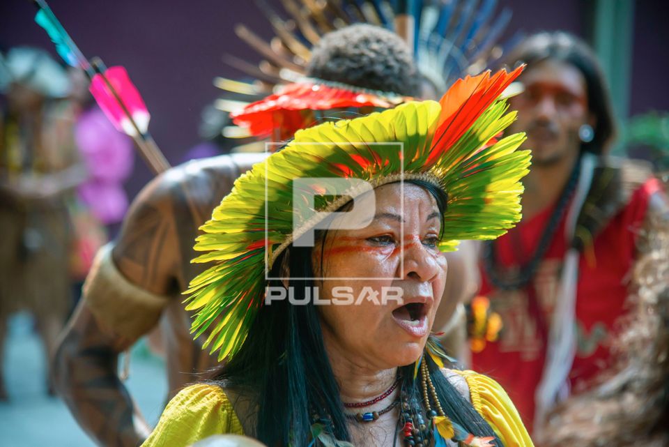 Mulher indígena da etnia Tupinambá de Olivença , Bahia , em ritual ...