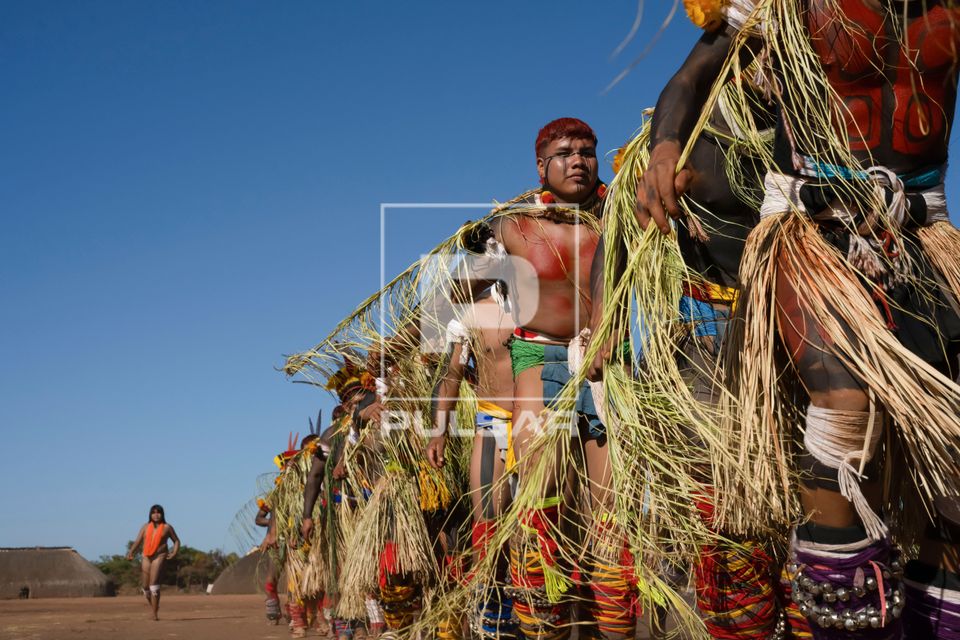Indígenas Kuikuro da aldeia Ipatse com galhos de palha no ritual de ...