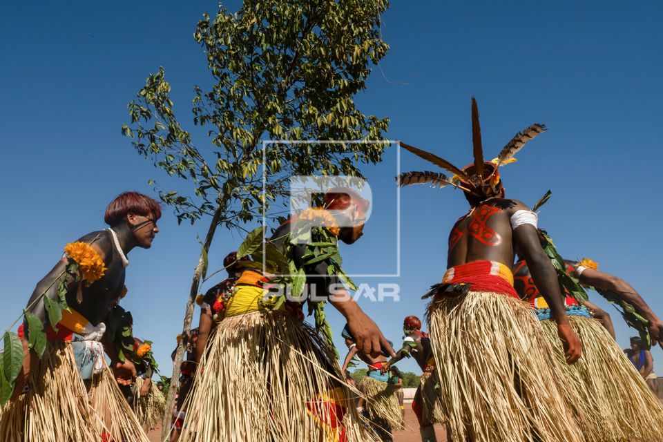 Indígenas Kuikuro da aldeia Ipatse com saias de palha no ritual de ...