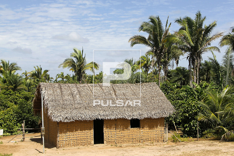 Casa Com Telhado De Palha Empena Casa Palha Telhado De Foto Gratuita