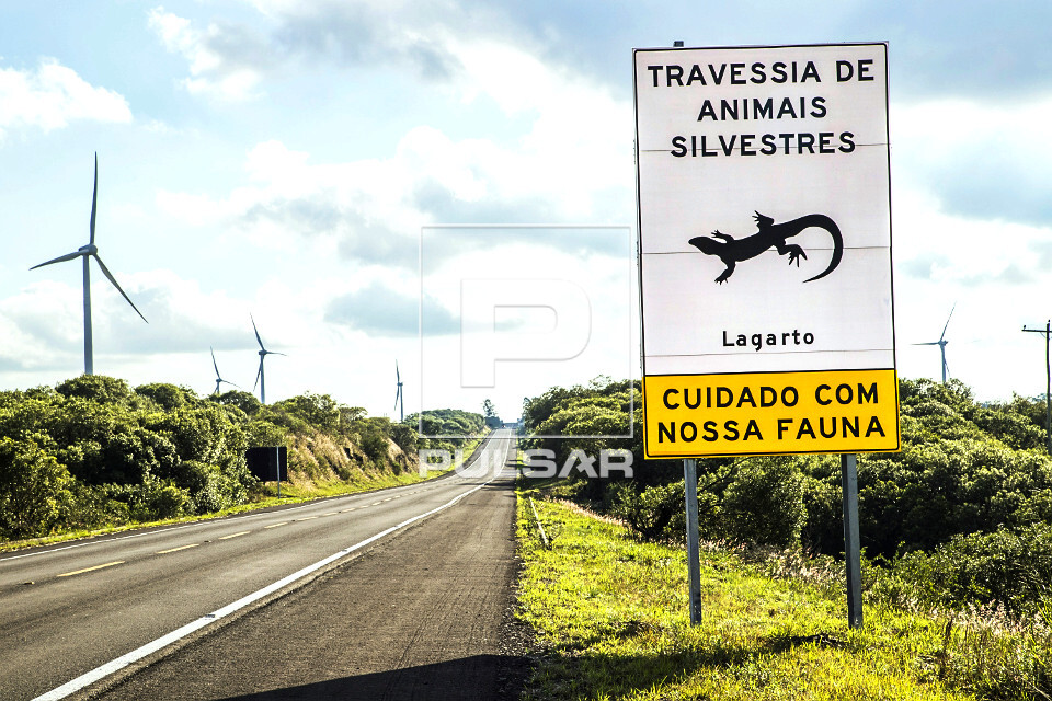 Sinal De Transito De Travessia De Animais