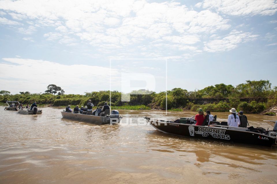 Turistas em barco para passeio de observação de animais no Rio São ...