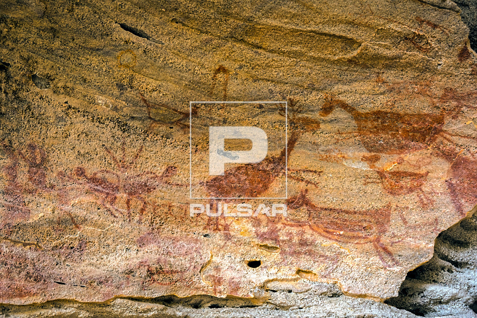 Pinturas rupestres na Toca do Pajaú - Parque Nacional da Serra da ...