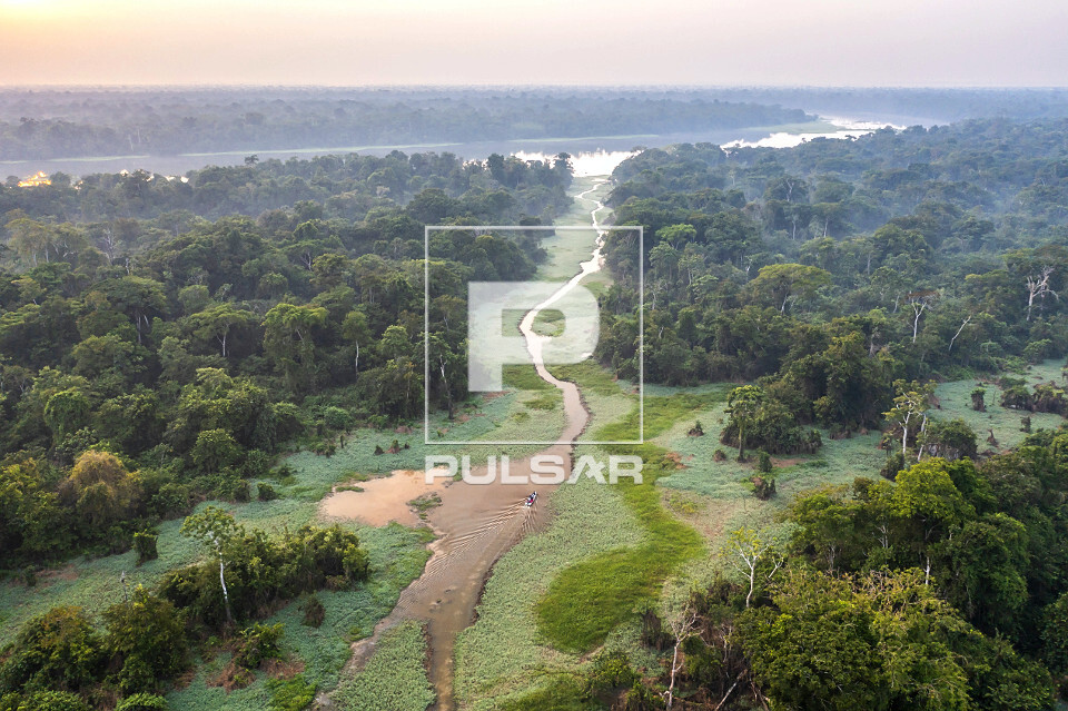 Vista de drone de floresta amazônica e área alagada de várzea ao ...