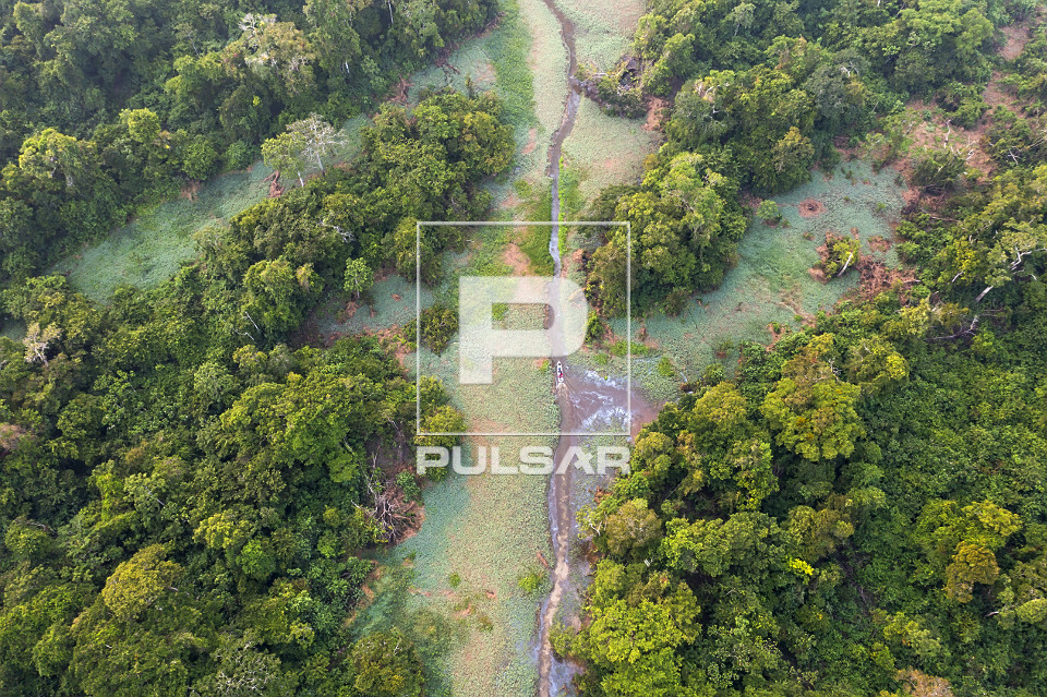 Vista de drone de área alagada de várzea e floresta amazônica | Pulsar ...