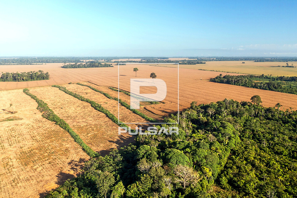 Vista de drone de área recém desmatada da floresta amazônica para ...