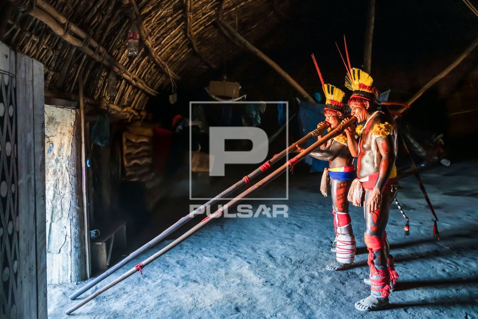 Indígenas da etnia Kamaiurá tocando flauta Uruá no interior de oca ...