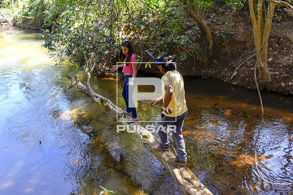 Indígenas da etnia Xerente equilibrando-se em tronco de árvore seca ...