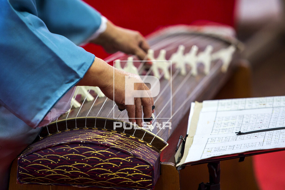 Detalhe de mãos de mulher tocando koto - instrumento de cordas ...
