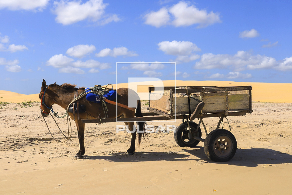Carroça carregada de areia extraída da praia da Tabóia - APA Área de ...