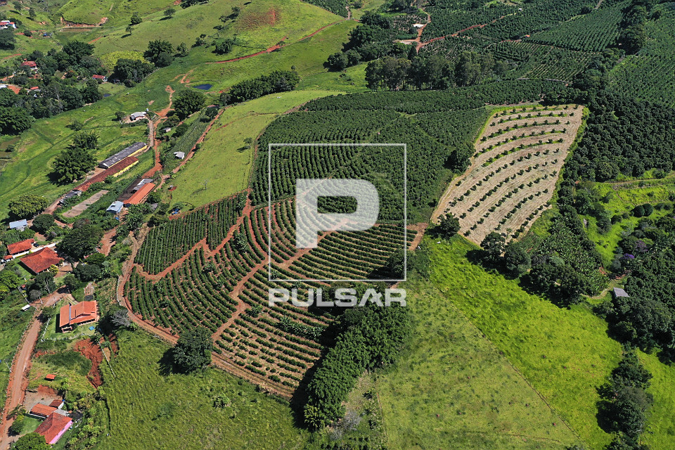 Vista de drone de plantação de café - bairro rural Lavras de Cima ...