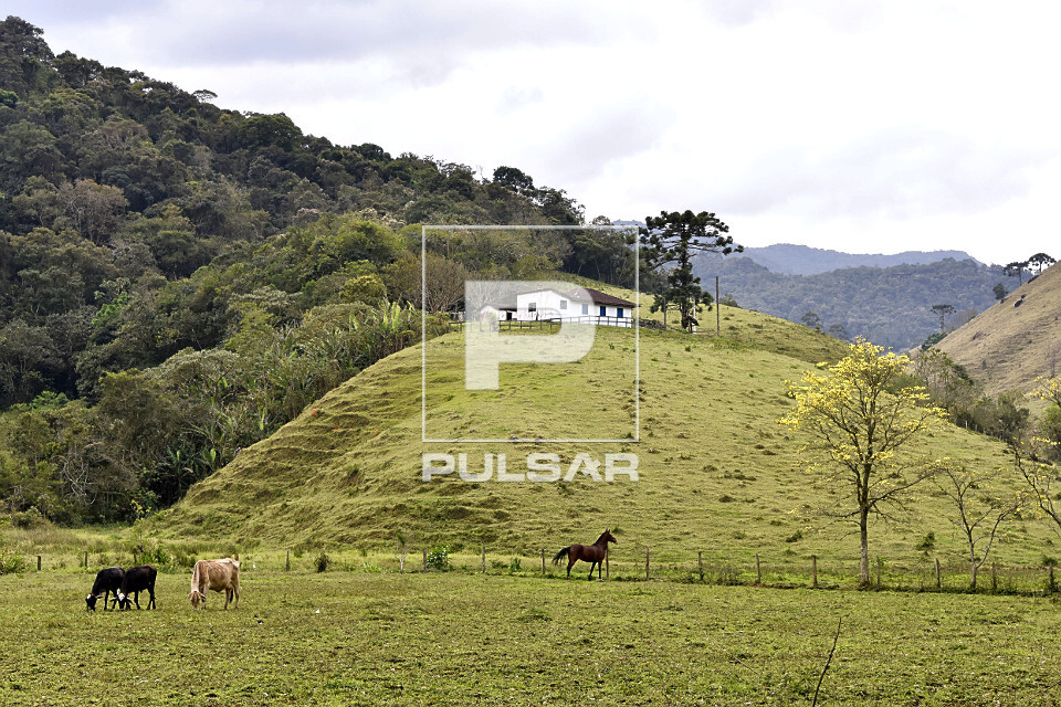 Moradia na área rural do distrito São Francisco Xavier | Pulsar Imagens ...