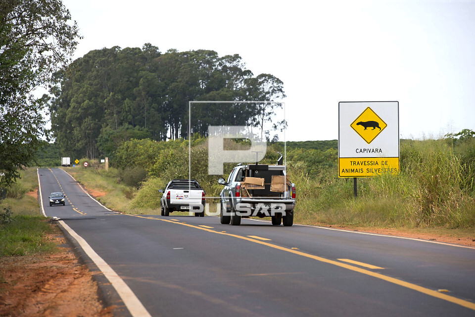 Sinal De Transito De Travessia De Animais