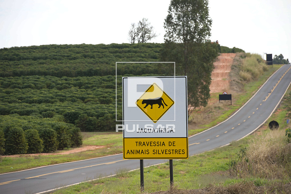 Sinal De Transito De Travessia De Animais