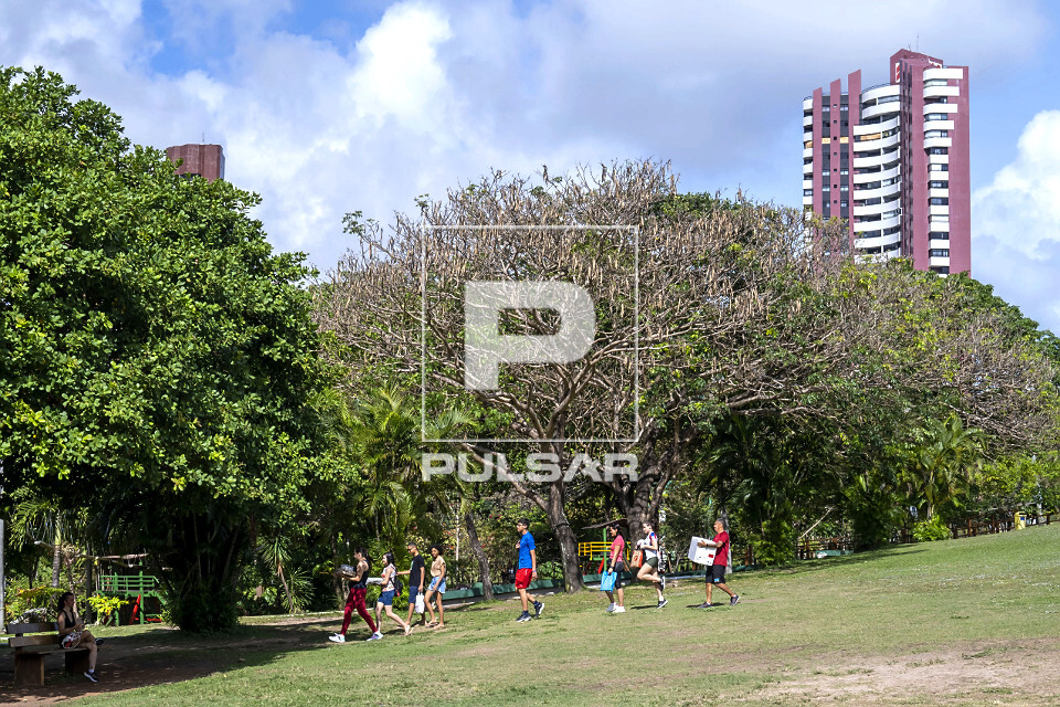 Família caminhando para piquenique no Parque Estadual do Cocó | Pulsar ...
