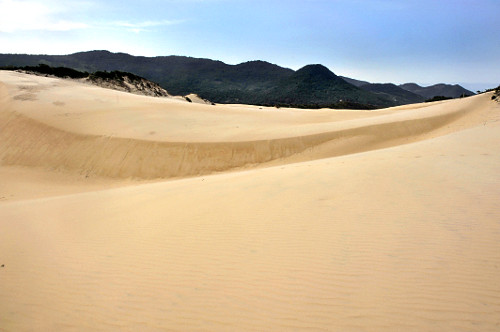 Lagoa em meio as dunas e vegetação com mar ao fundo na Praia do Siriu ...