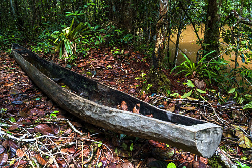 Índios da etnia Ingarikó empurram barco em corredeira do Rio Cotingo na ...
