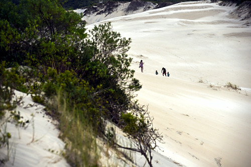 Lagoa em meio as dunas e vegetação com mar ao fundo na Praia do Siriu ...