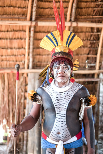 jauari | Pulsar Imagens | Banco imagens do Brasil