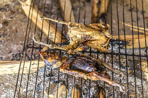 Indígena da etnia Kamayura aldeia Ipavu prepara tapioca em fogão a ...