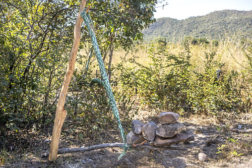 Tapiti usado para expremer e secar mandioca ralada na Comunidade ...