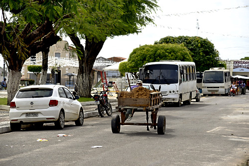 Carroça sendo transportada em balsa sobre o rio São Francisco em ...